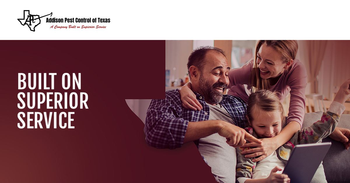 Residential Pest Control in Dallas, TX | Addison Pest Control